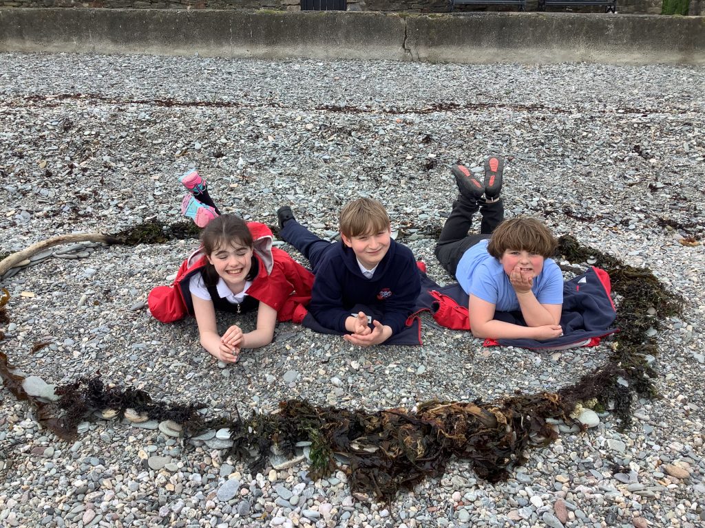 Building Penguin Nests – Dunoon Primary School